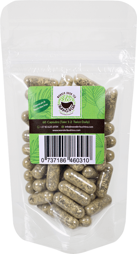 Wonder Bush Tea | Multipurpose herbal tonic